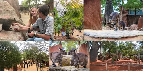 Events at the Darling Harbour Zoo | WILD LIFE Sydney Zoo