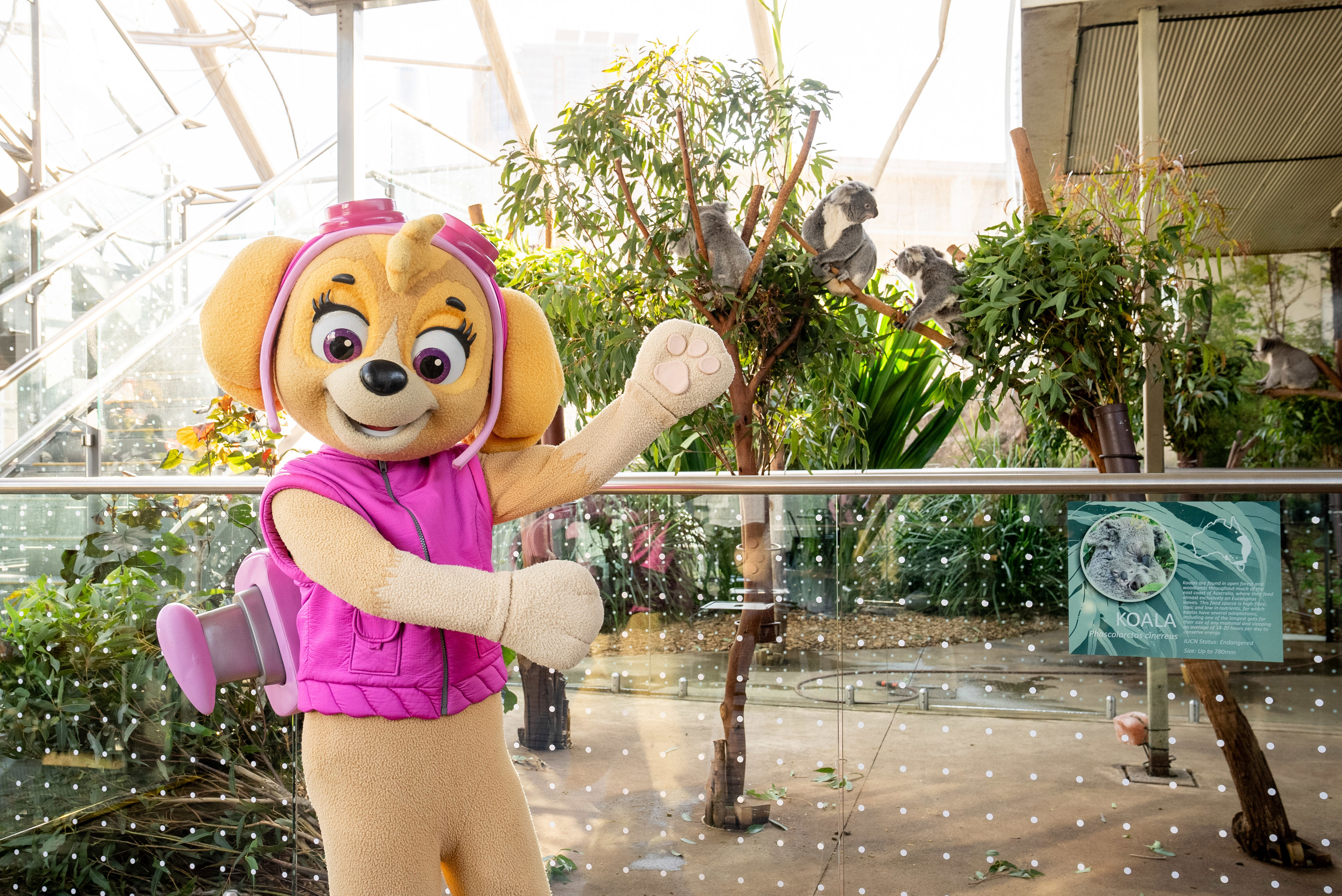 PAW Patrol: The Mighty Adventure | WILD LIFE Sydney Zoo