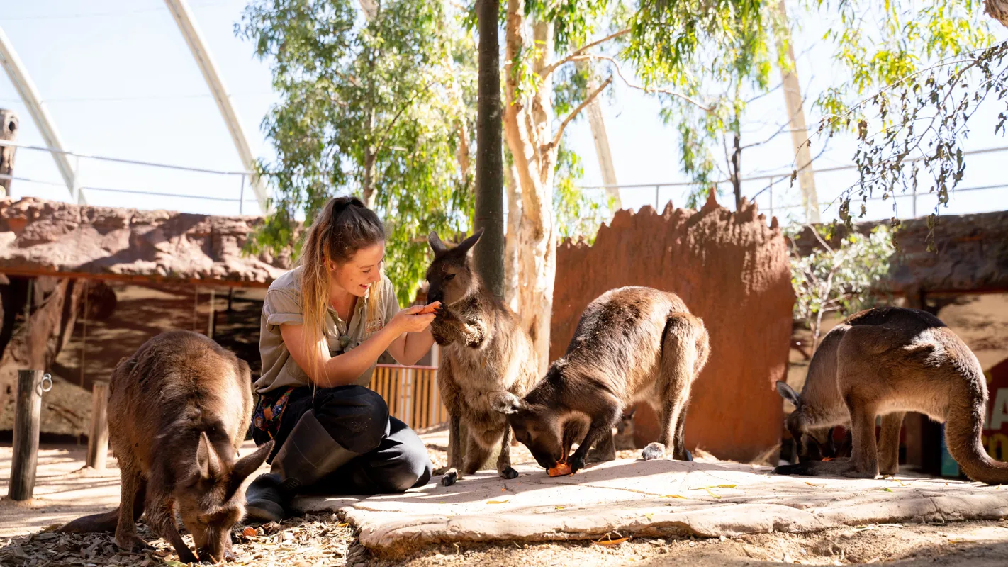 Feeds and Talk Times | WILD LIFE Sydney Zoo
