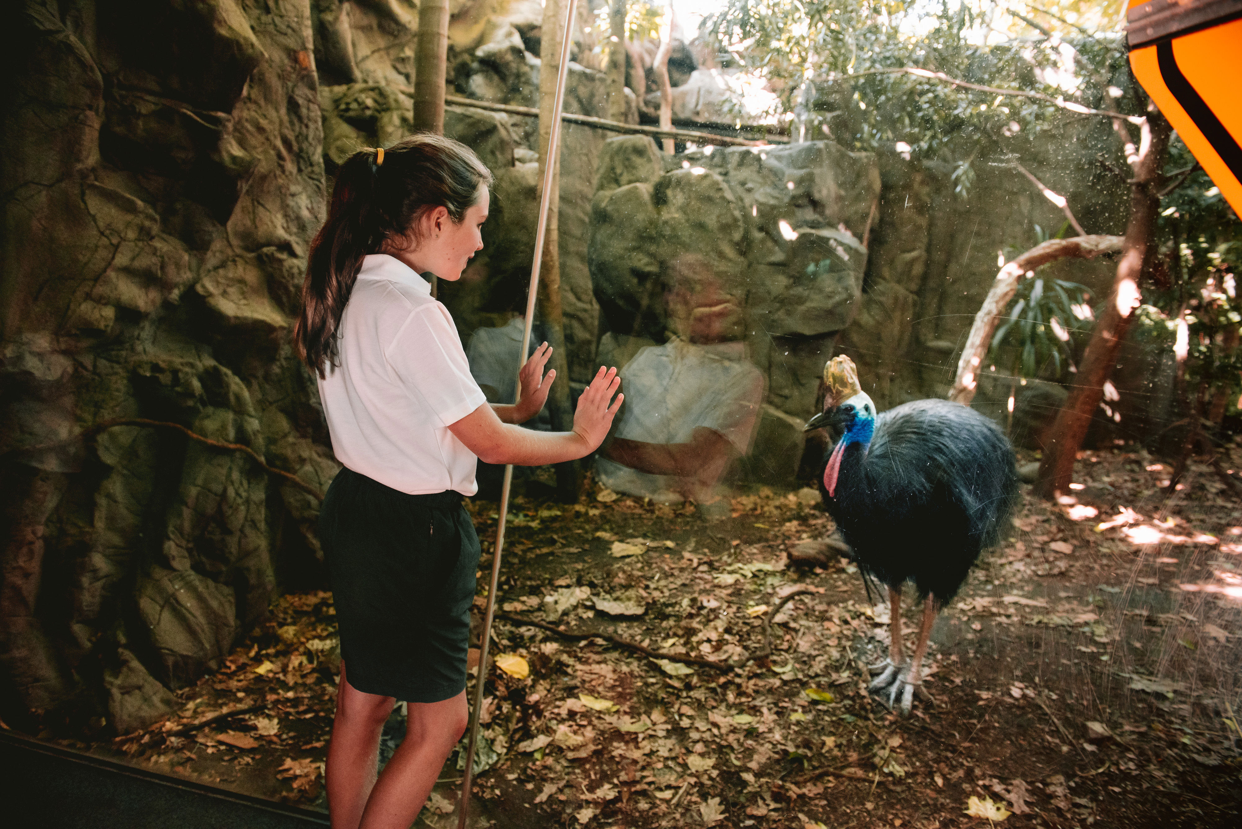 IMAX Sydney Combo Excursion