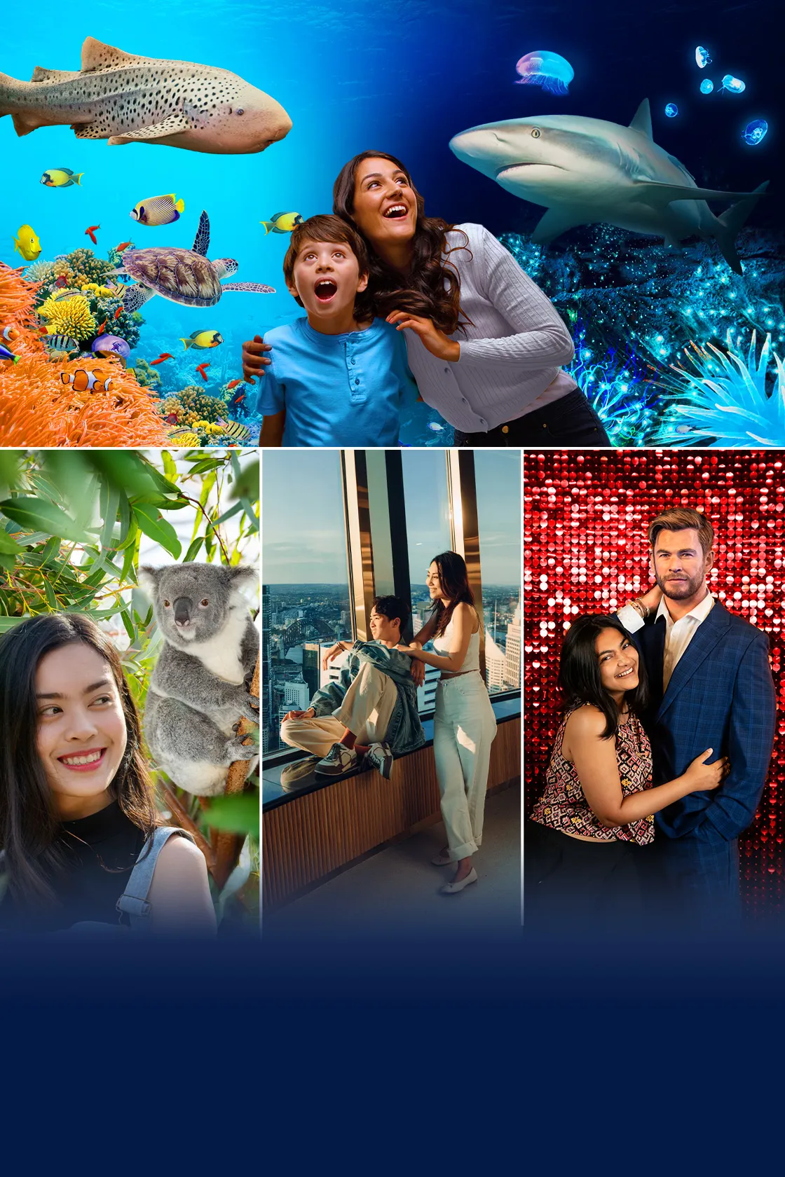 What Animals are on Australian Coins? - Wild Life Sydney Zoo