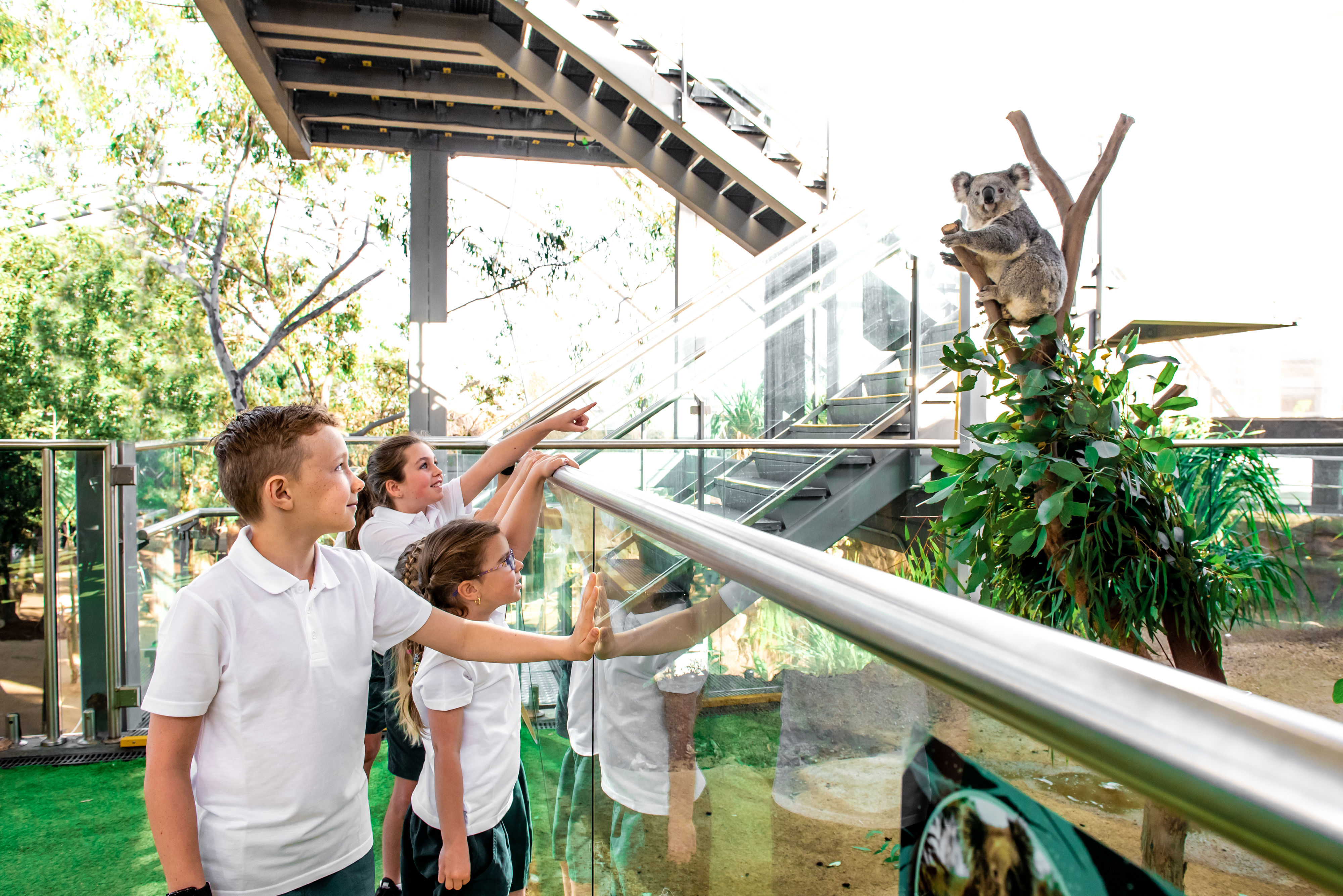 Education And School Excursions | WILD LIFE Sydney Zoo